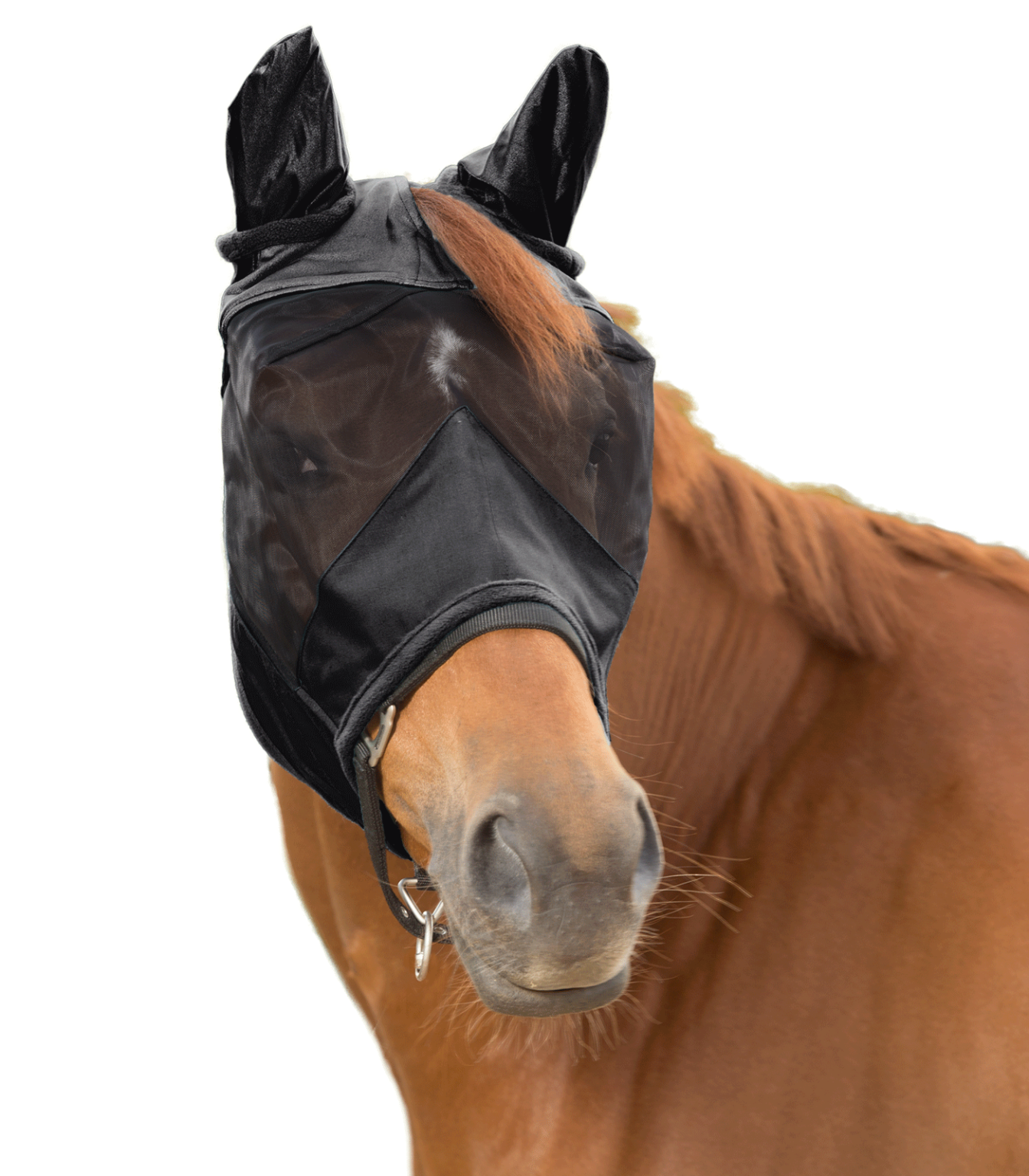 Veloxa XL - vermifuge chien de 17,5kg à 70 kg, 2 cp - MERIAL - France Véto