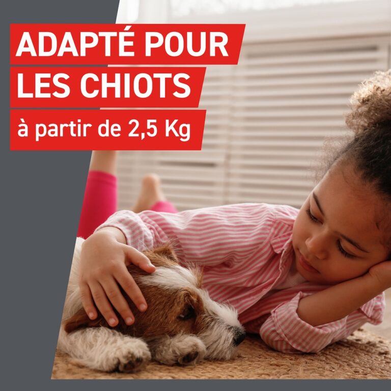 Froncontrol ( Veloxa XL ) - Vermifuge chien de 17,5kg à 70 kg 2 cp ...