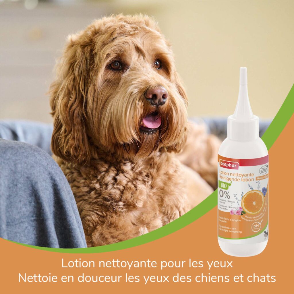 Lotion nettoyante pour les yeux labellisée Ecocert 100 ml- BEAPHAR ...